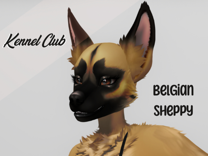 Second Life Marketplace - TKC - Belgian Sheppy